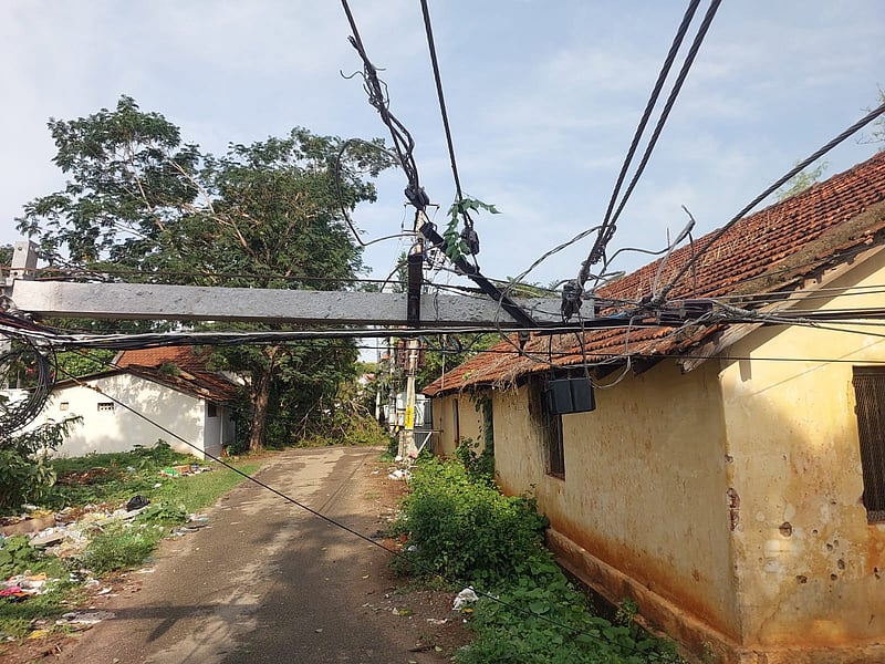 Heavy rains, gusty winds uproot electricity poles, trees in Chikkamagaluru