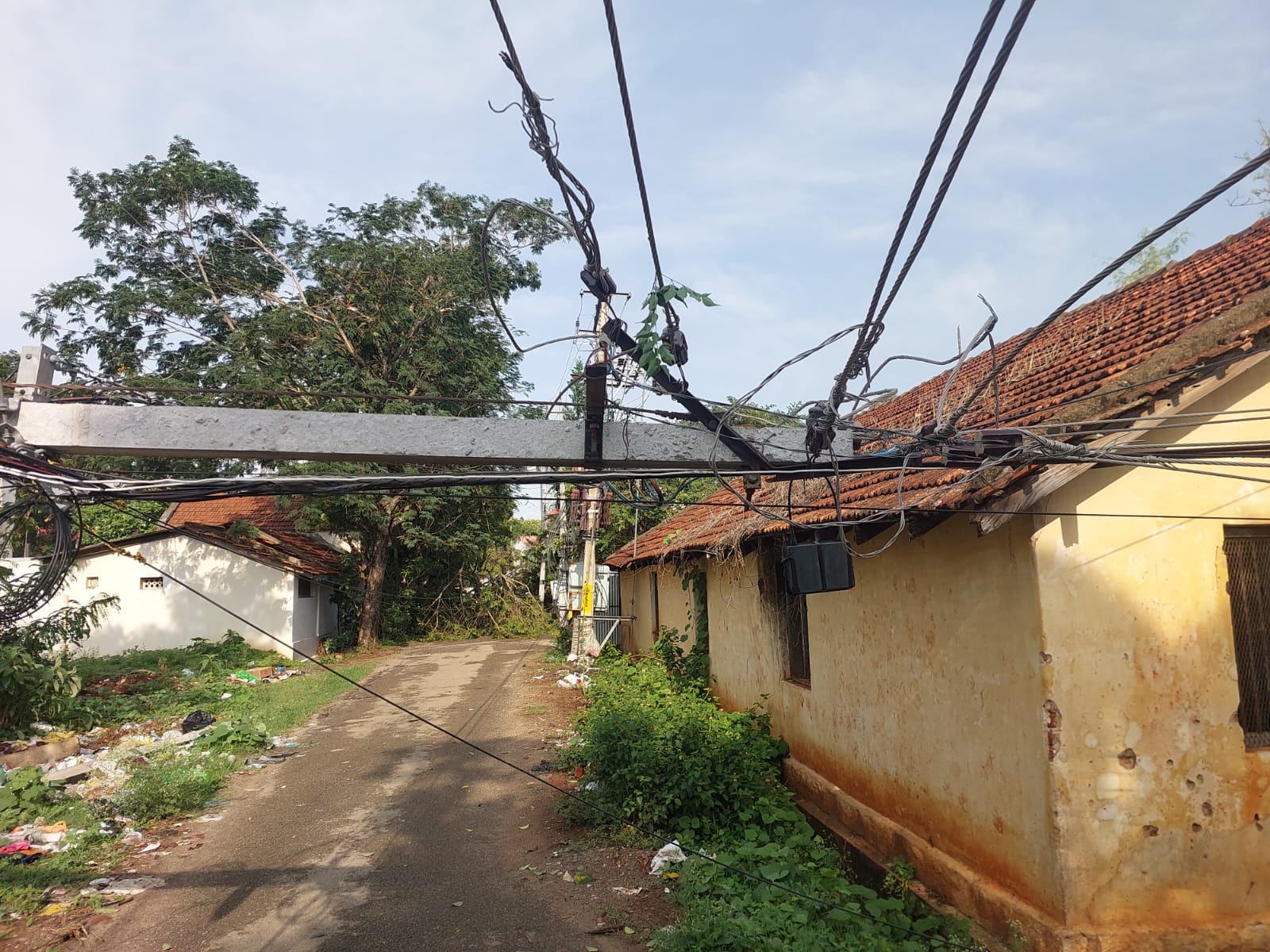 Heavy rains, gusty winds uproot electricity poles, trees in Chikkamagaluru