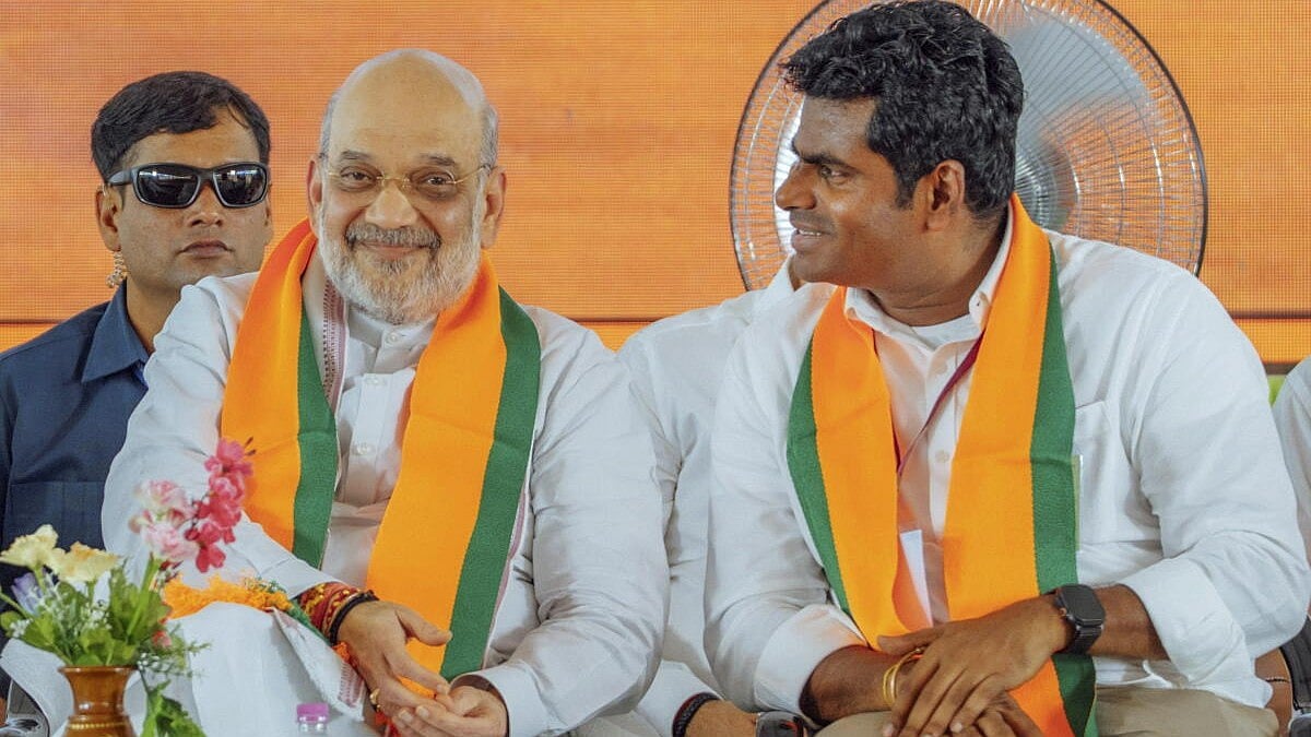 End of the road for Annamalai in BJP? Former Tamil Nadu BJP chief ...