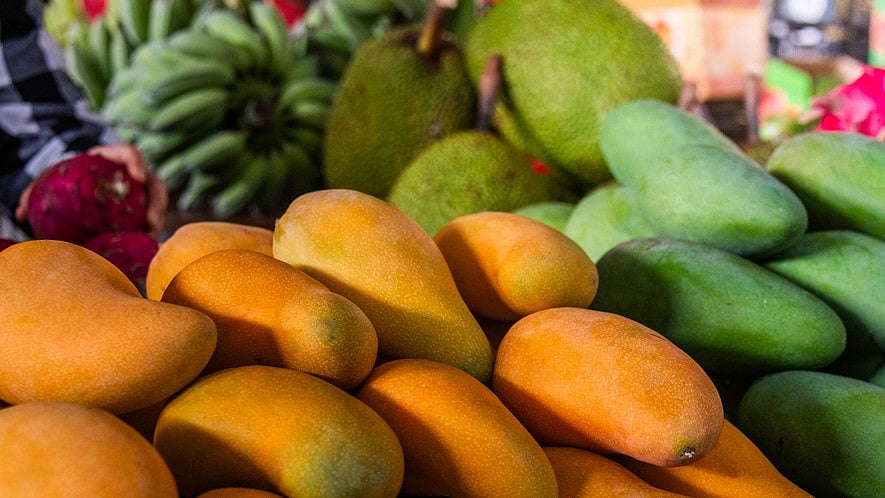 Bengaluru: 27-day Lalbagh Mango and Jackfruit Mela starts on June 4