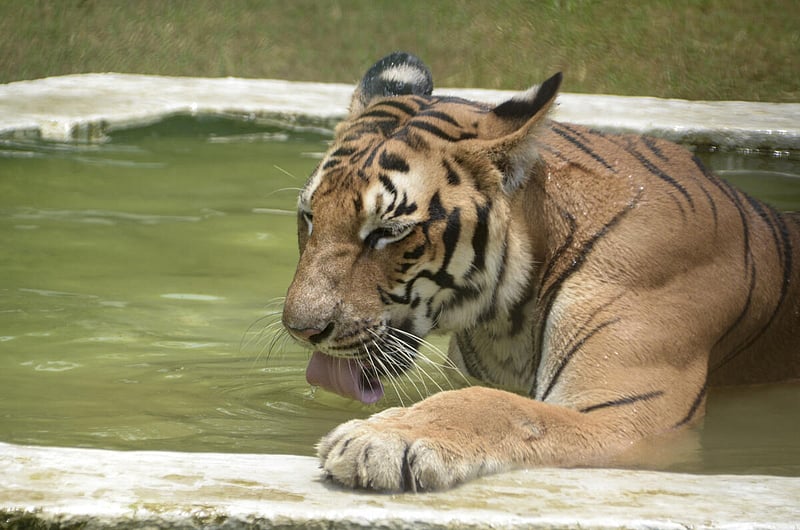 News in Pics | June 2, 2026: Best Photos from around the world