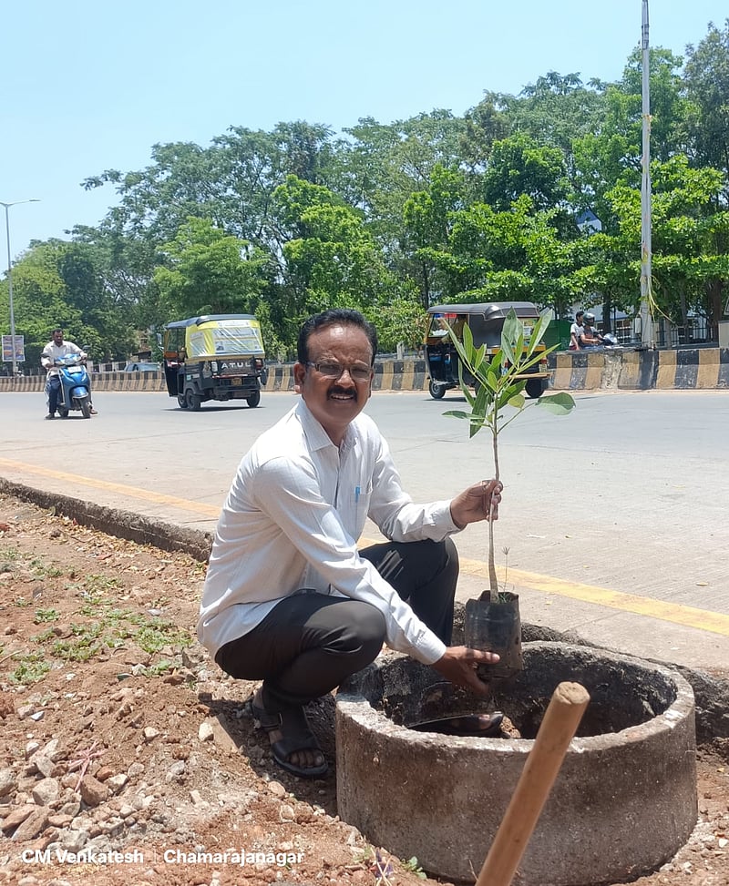 A year after government order, Mysuru trees still trapped in concrete