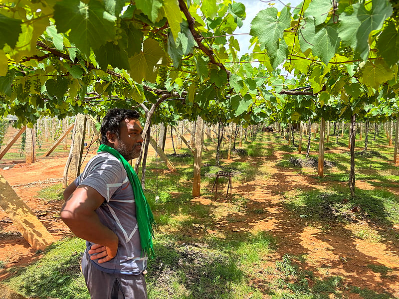 Deep Tech Park: Karnataka farmers resist land takeover in silk hub now