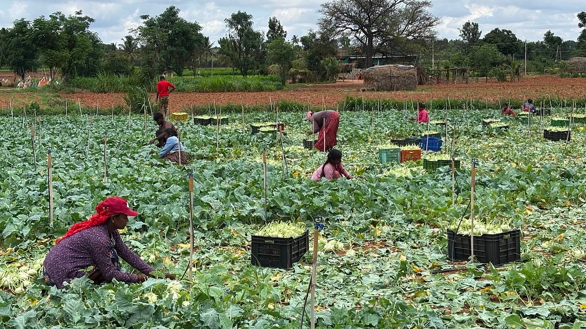 Deep Tech Park: Karnataka farmers resist land takeover in silk hub now