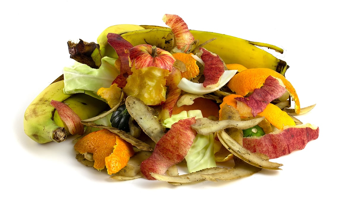 From trash to trend: How Indian chefs are turning kitchen scraps into ...