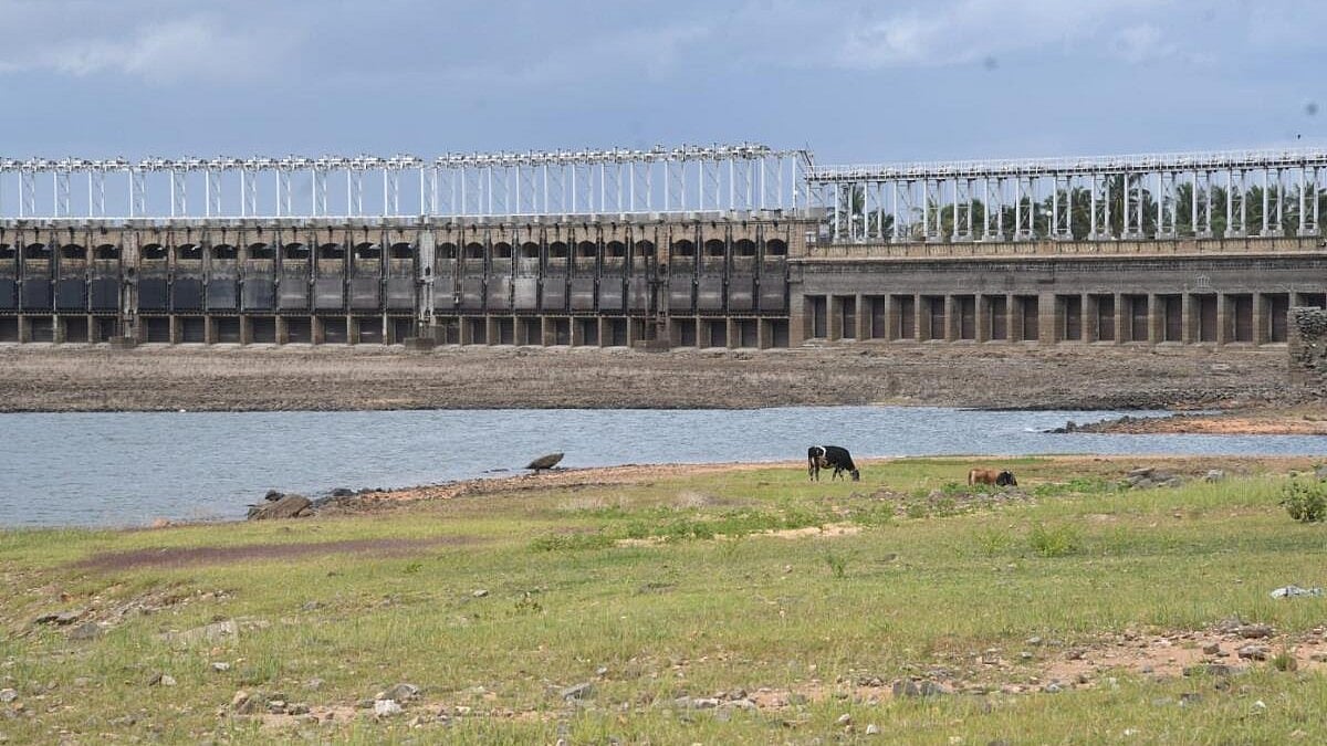 Monsoon slowdown depletes water storage in Cauvery basin dams
