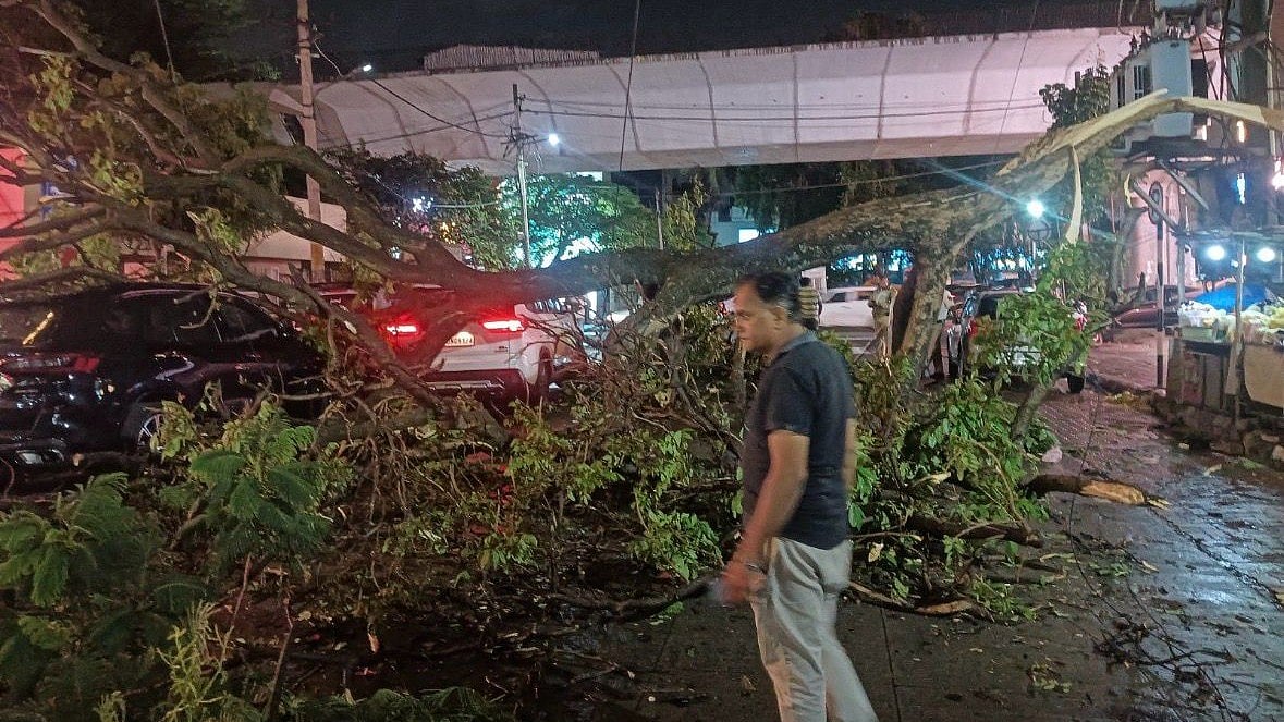 Bengaluru rain: Trees fall, roads flooded as heavy downpour disrupts ...