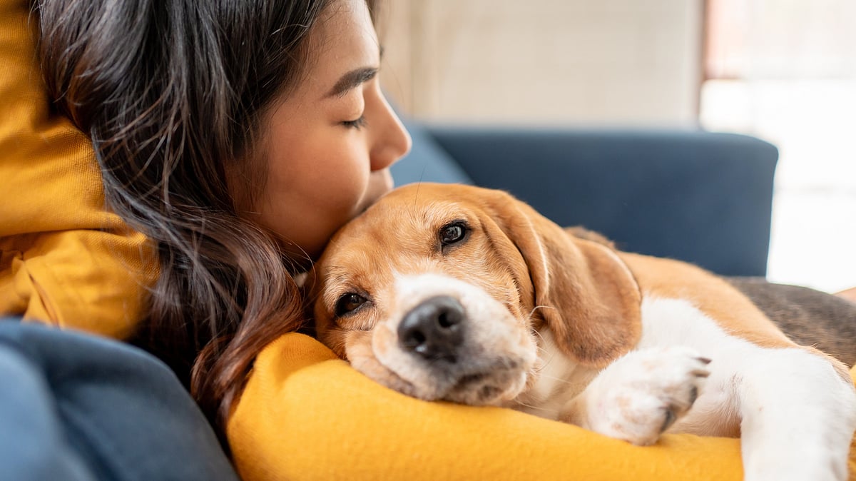 Pets life: Dogs bring comfort and balance during empty nest transition