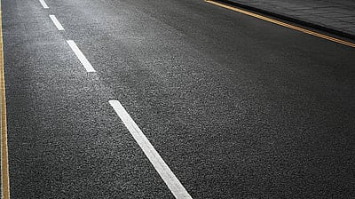 In Mumbai, a white line between ahimsa and anger