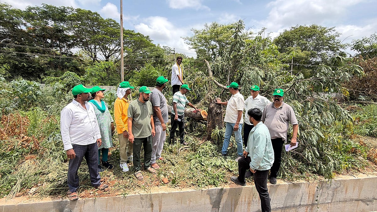 Mysuru Tree Chopping: RFO Notice, Public Outcry & Railway Response