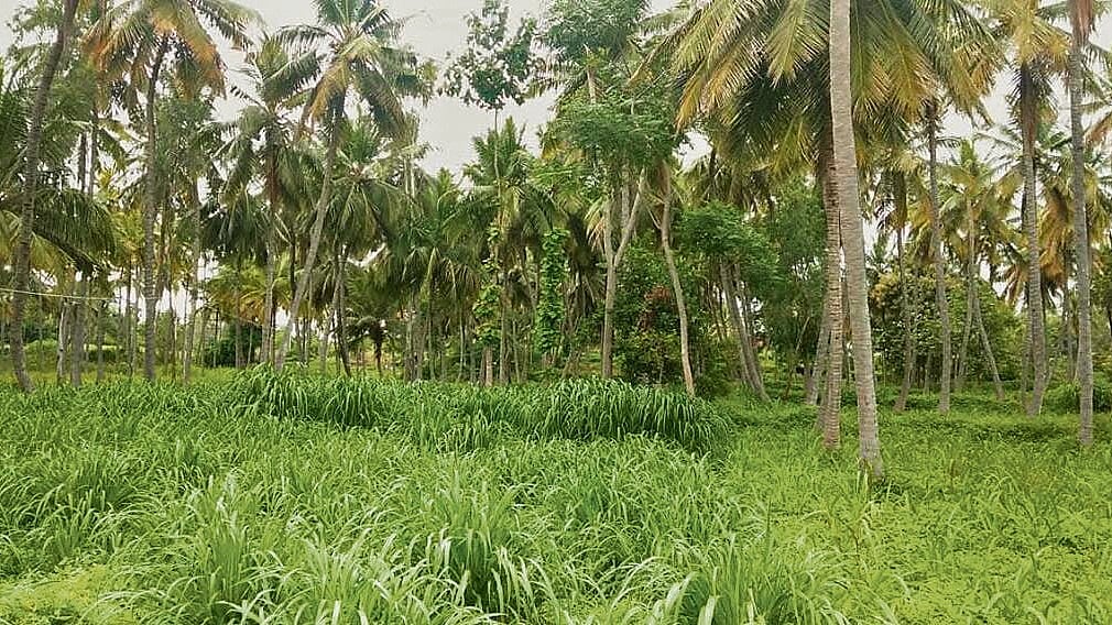 Karnataka: Young, educated farmers resist Bidadi township plan
