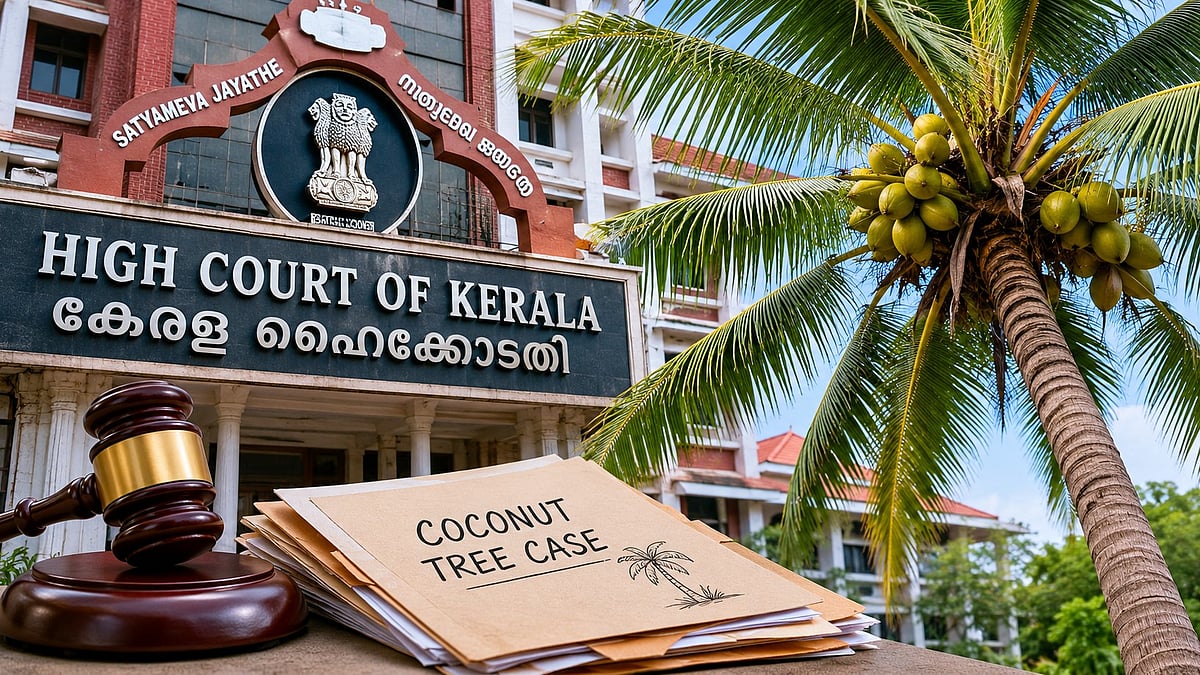 Kerala Court Dispute: Judge Urges Neighbours to Resolve Over Coconut Tree