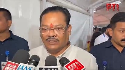 Falling of trees, lightning strike not in human hands: Sena minister on ...