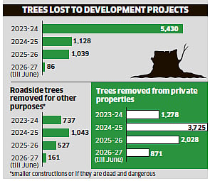 Bengaluru Tree Loss: 19,000 Trees Cut for Development Projects