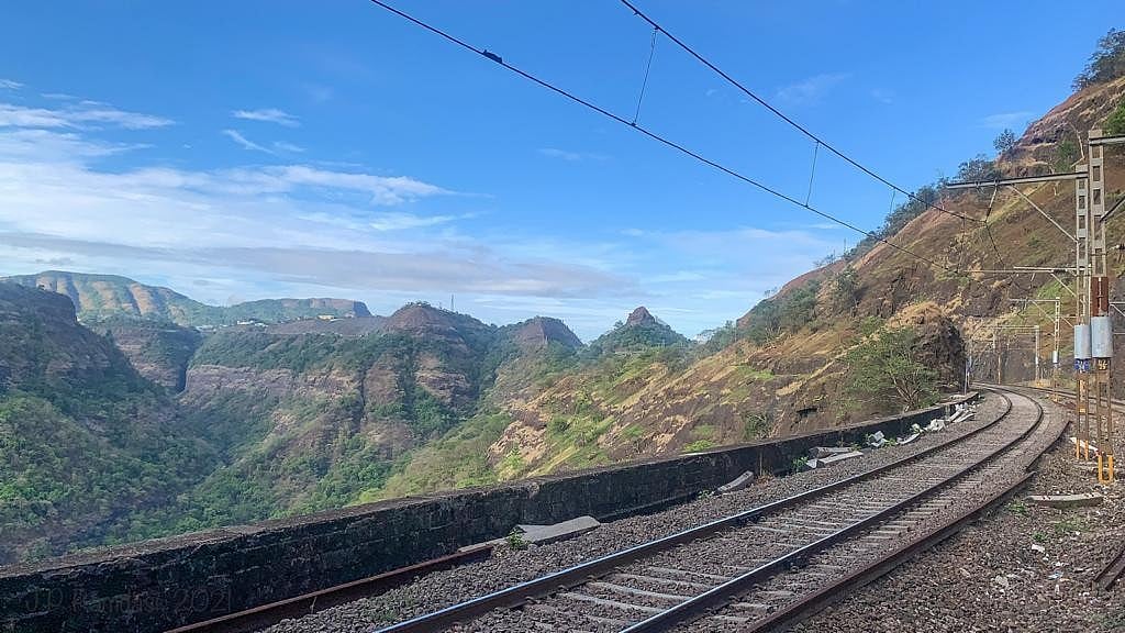 Tinaighat-Kulem rail line doubling may cut off lifeline of many flora ...