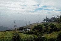 Gifted by nature; 'cursed' by man!