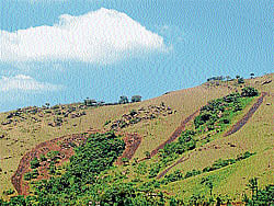 Fire lines to protect Shola forest