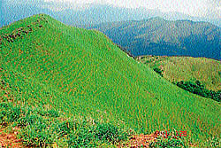 Kyathanamakki for nature lovers