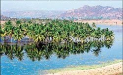 Just what the doctor ordered for Arkavati