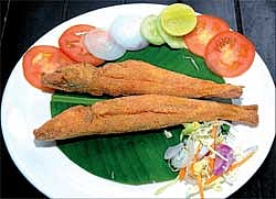 An exotic slice of Andhra Pradesh