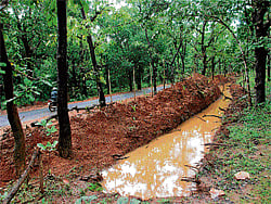 Kalave shows the way