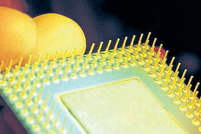 Govt to review preferential market access