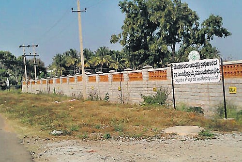 Thirst buster gift for New Year