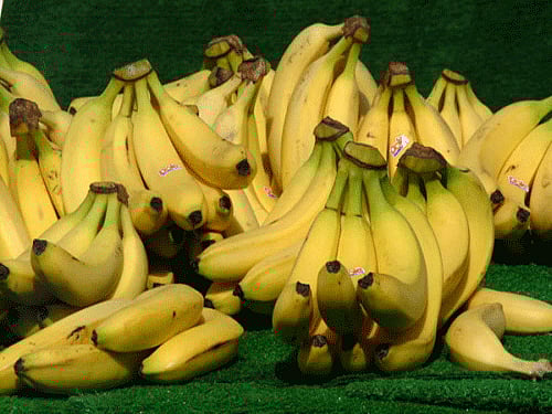 Scientists develop 'Super' banana
