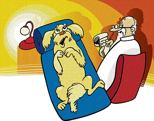 The dog and his shrink