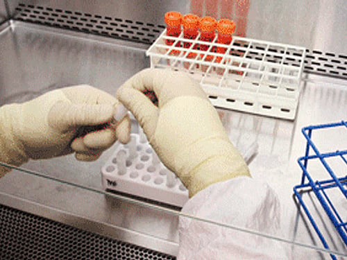 World's first lab grown stem cells implanted