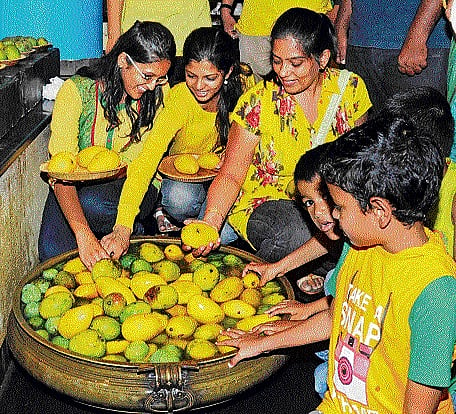 Inside a mango grove