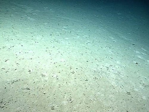 11 km deep, the ocean is still a noisy place