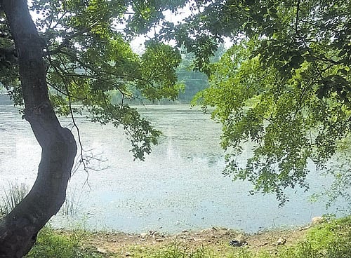 Isro Layout tank being choked with truckloads of soil