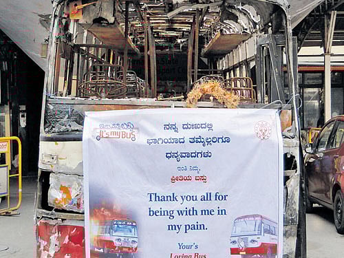 Clip on 'it's my bus' theme to be screened on premium buses