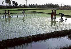 Upper Bhadra Irrigation project expansion faces green hurdle