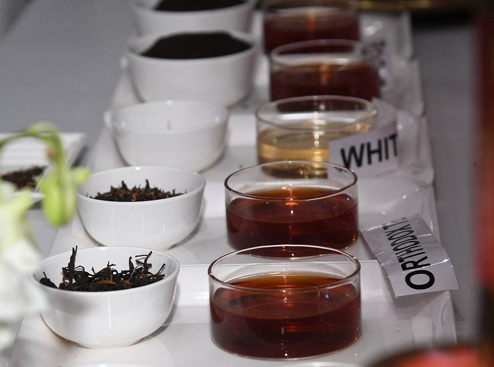 Tea tree genetic secrets unlocked