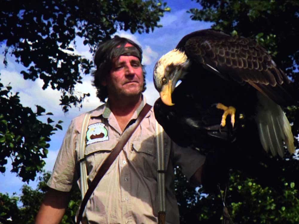 Global films on a platform