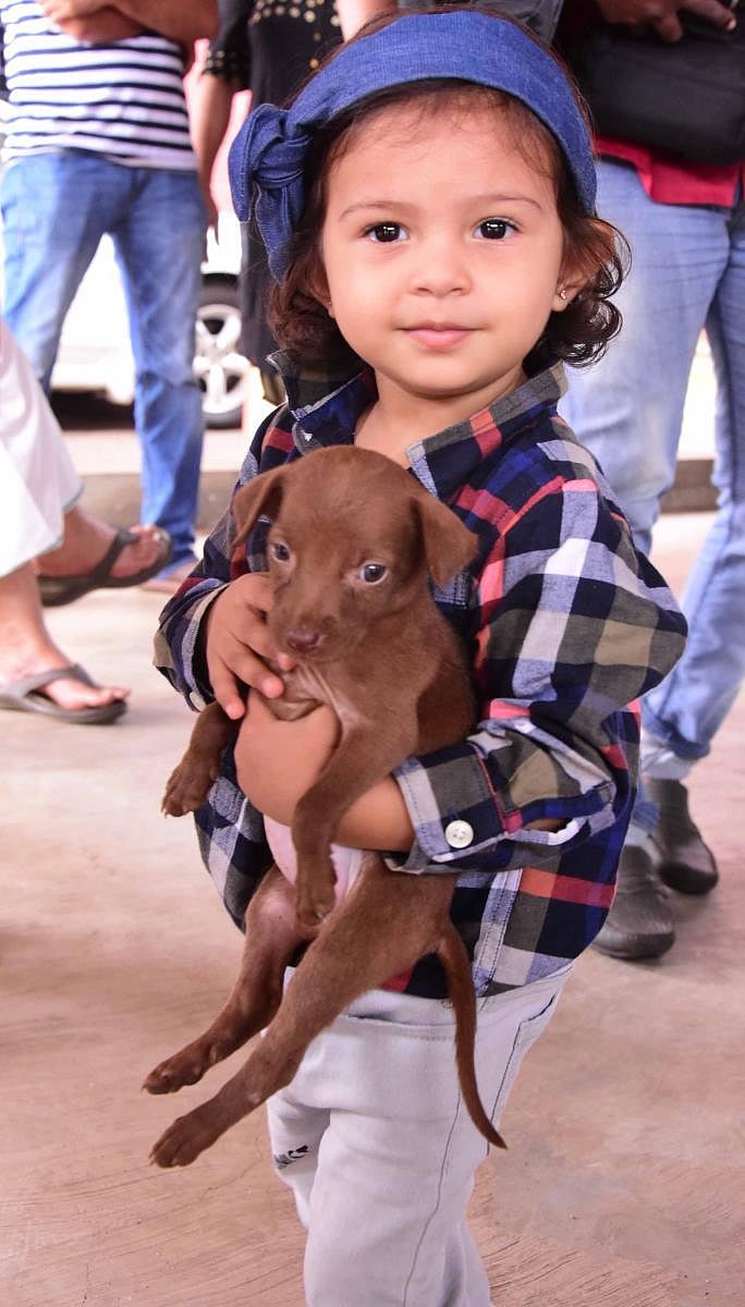 PIL seeks to quash pet licensing rule