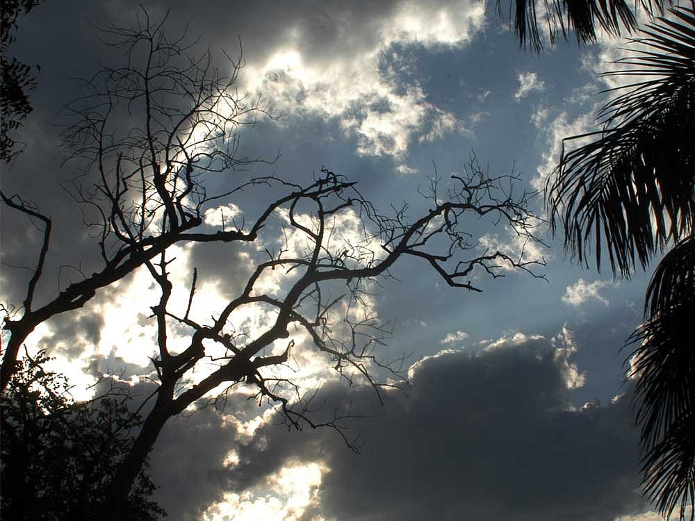 Heatwave warning in Kerala's Kozhikode district