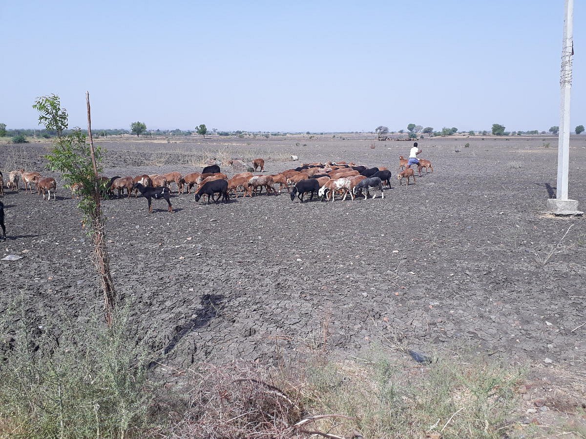 Severe drought foretells greater rural distress