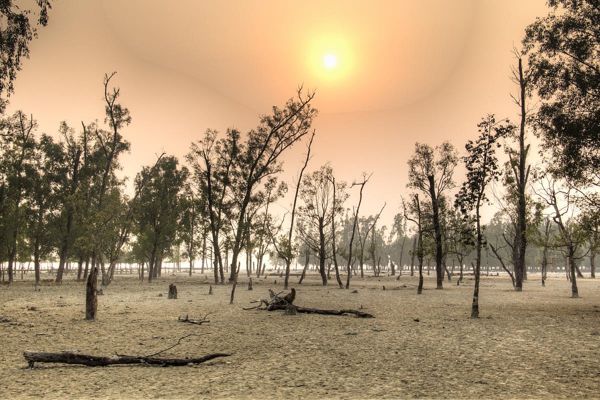 Book Review: The Gun Island