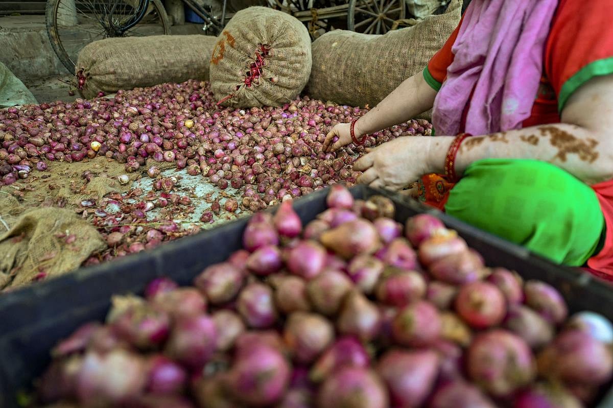 Centre relaxes inspection norms for imported onion