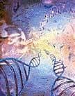 Over 2,000 missing DNA sequences found