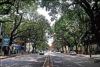 RWAs to protest against Sankey Road widening today