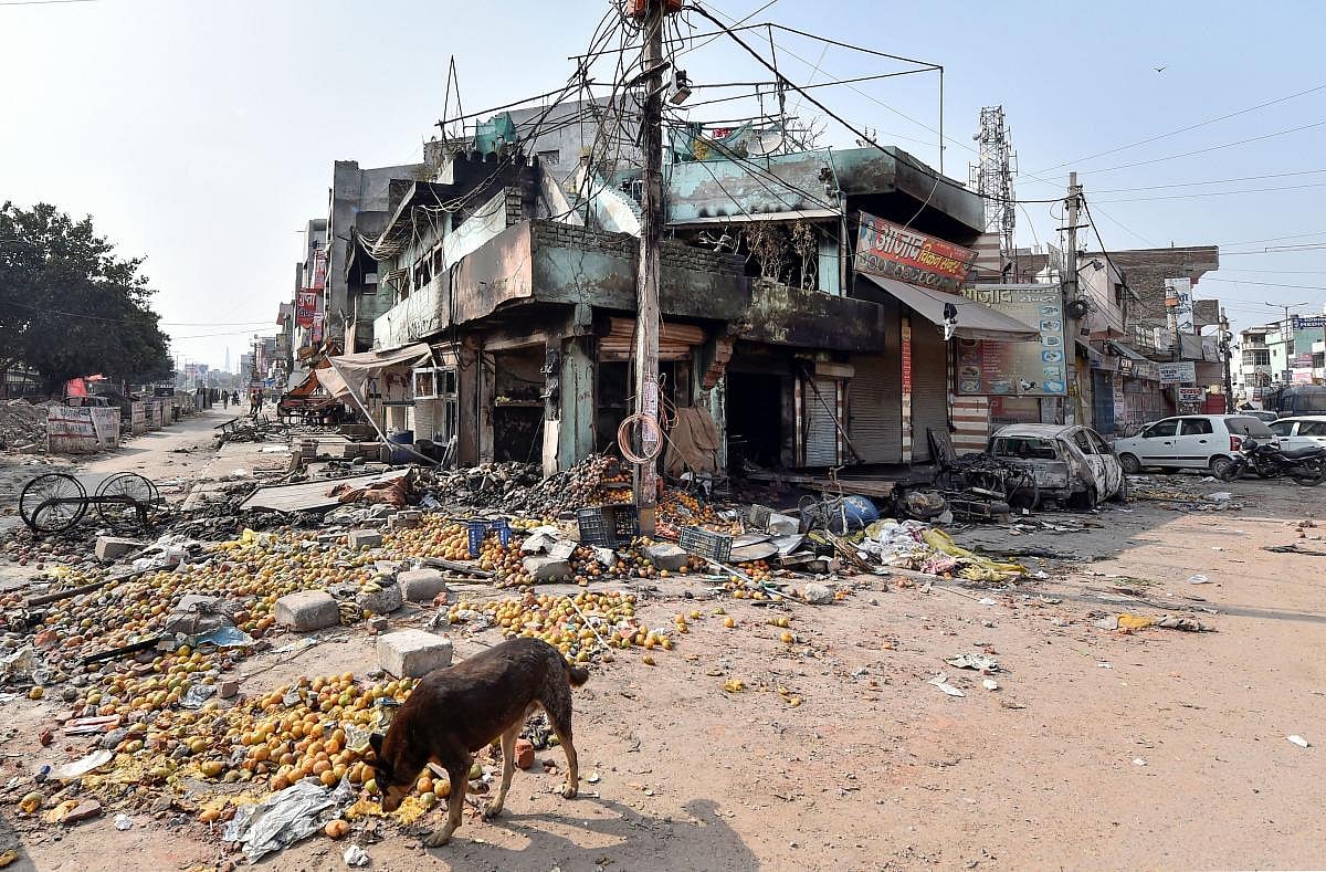 Delhi violence: People who went out to buy food, milk got killed