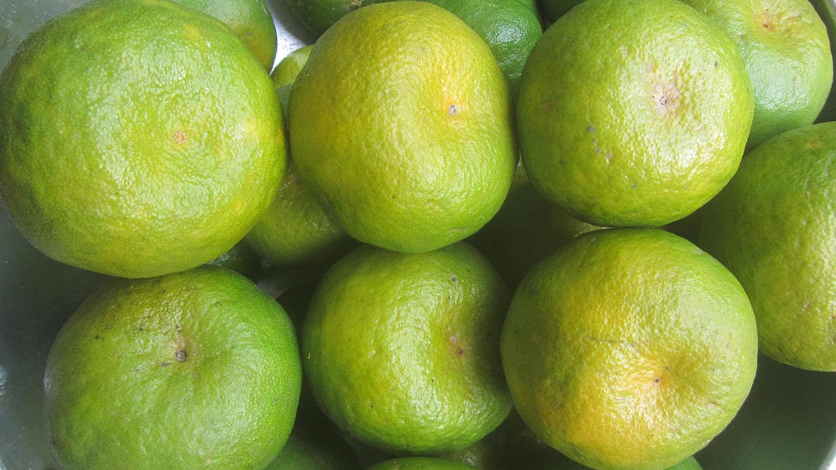 Demand and supply low for Kodagu orange