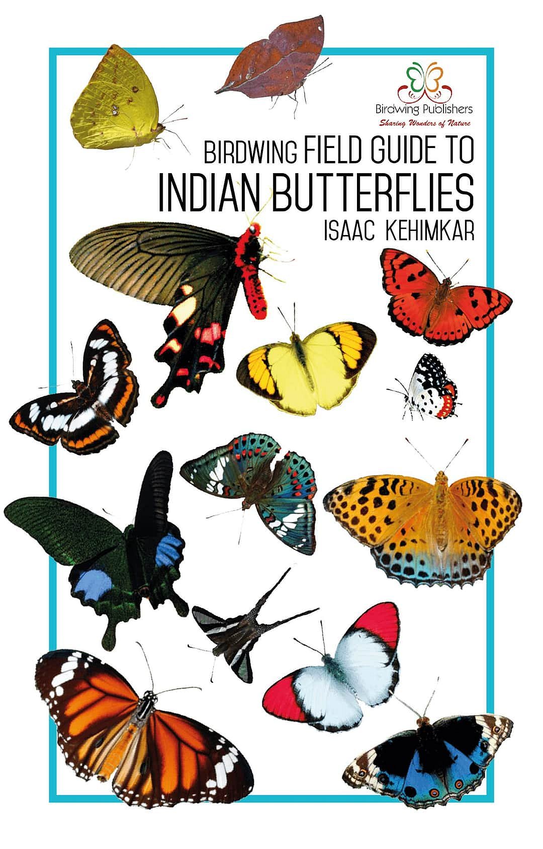 A field guide on butterflies of Indian sub-continent to be released soon