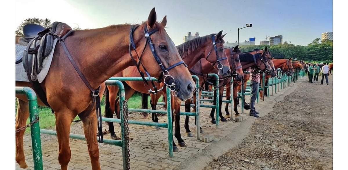 With Unlock 5, horse-riding club in Mumbai opens for non-members