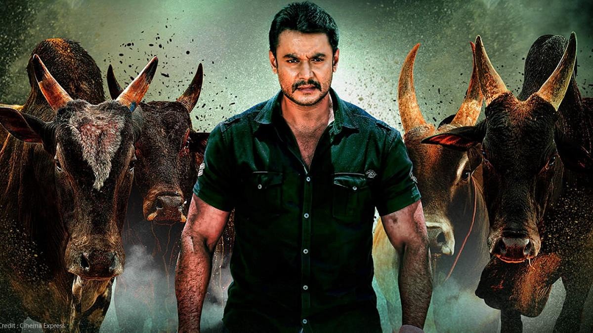 What explains Darshan’s popularity?