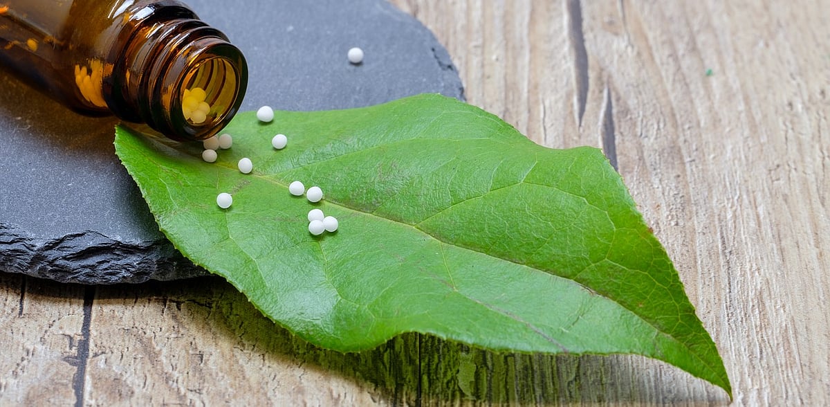 Karnataka Homoeopathic Board has new building, fully funded by its ...